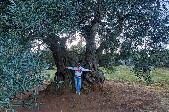 E-Bike Tour in the Plain of the Secular Olive Trees of Ostuni - Meeting and End Points