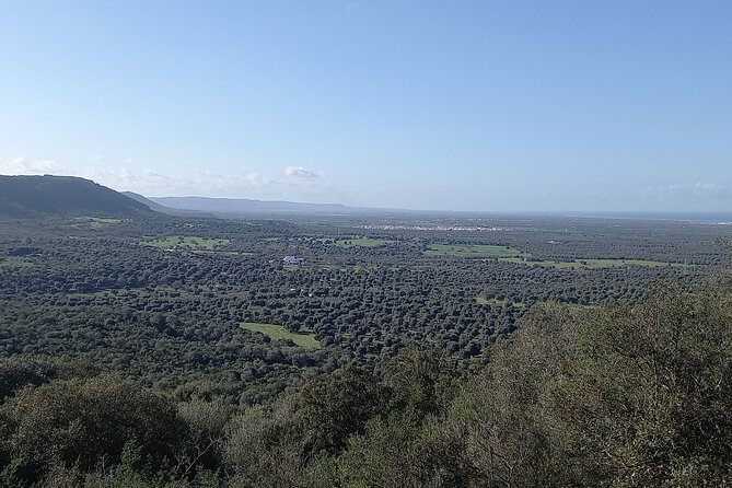 E-Bike Tour in the Plain of the Secular Olive Trees of Ostuni - Customer Feedback and Reviews