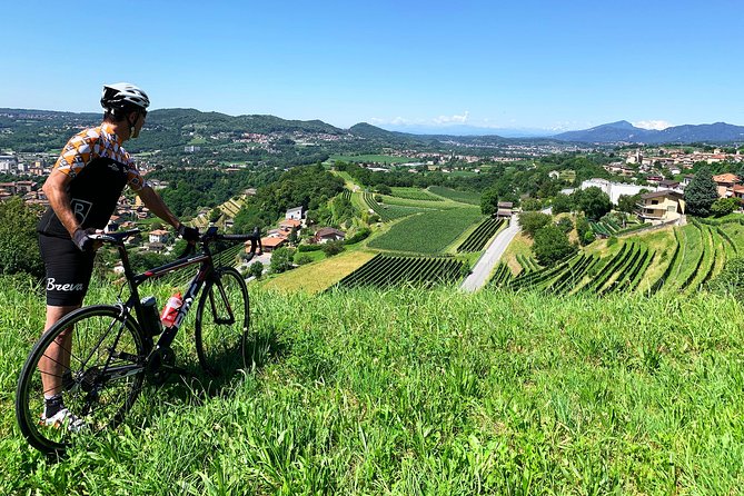 E-Bike Tour Lake Como and Swiss Vineyards - Crossing Merlot Vineyards to the Swiss Border