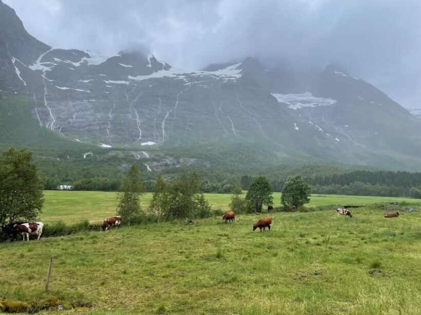 E-bike tour of Hellesylt to Norangsdalen - Pricing and Value