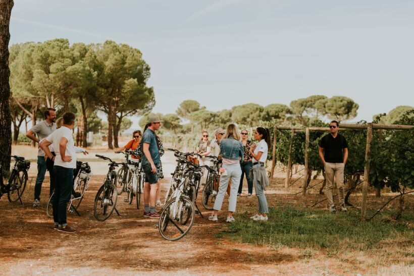 E-bike tour & Picnic in an Exclusive winery Estate - Key Points