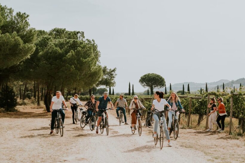E-bike tour & Picnic in an Exclusive winery Estate - A Deep Dive into the Experience