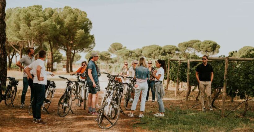 E-bike tour & Picnic in an Exclusive winery Estate - Practical Tips for Your Visit
