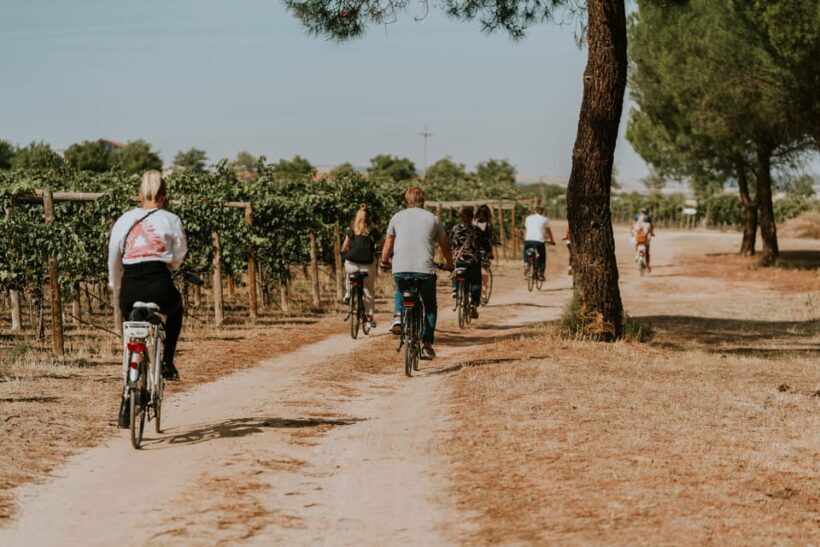 E-bike tour & Picnic in an Exclusive winery Estate - The Sum Up