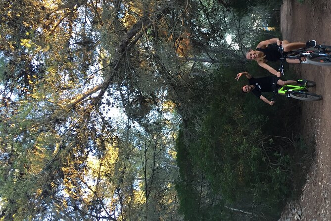 E-Bike Tour: Sete Vales Suspensos Trail (Marinha and Benagil) - Customer Reviews and Feedback