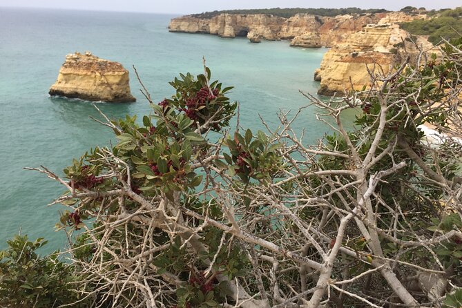 E-Bike Tour: Sete Vales Suspensos Trail (Marinha and Benagil) - Scenic Views and Photo Opportunities