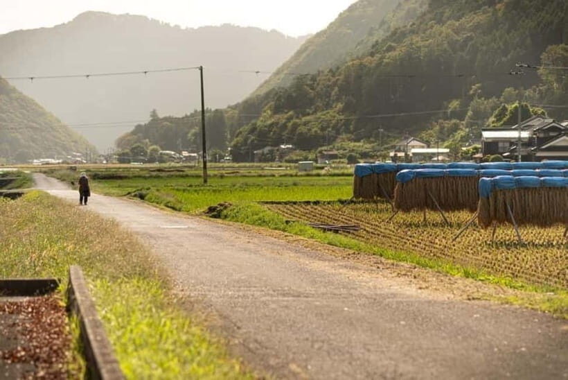 e-bike tour Shis Region with Sake Brewery Tour - Is It Worth the Price?