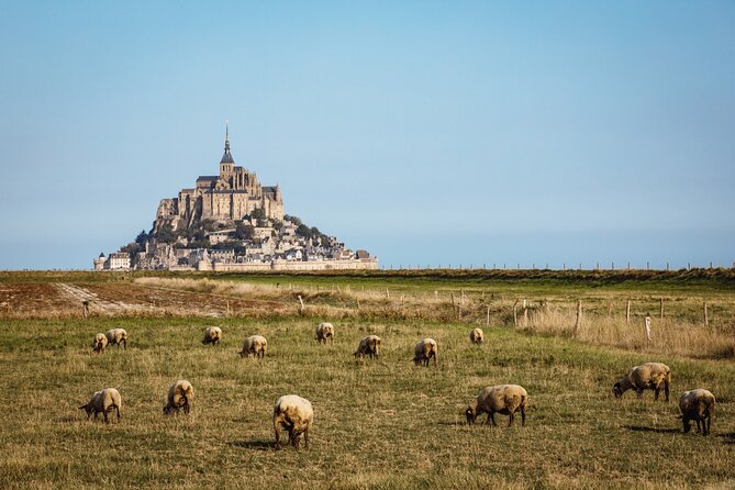 E-Bike Tour to Mont Saint Michel // Private guided tour - Analyzing the Cost: Is It Worth It?