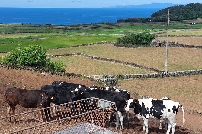 E-Bike Tour West Side | Third Island - Scenic Routes and Countryside Views