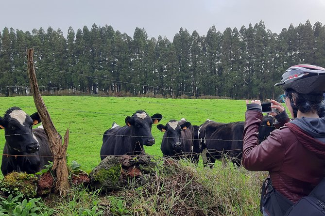 E-Bike Tour West Side | Third Island - Guide Expertise and Support