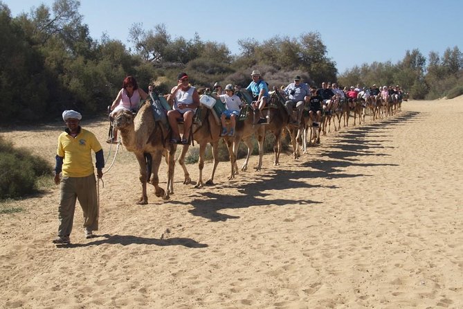 E-Bike Tour with Camel Safari through the Maspalomas Sand Dunes - Practical Tips for Participants
