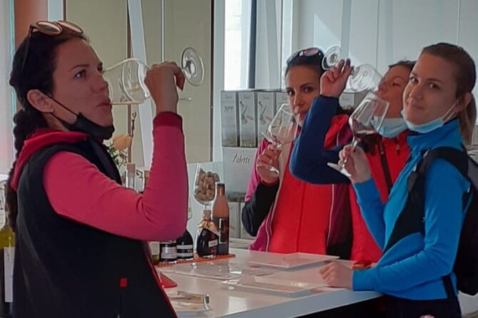 E-Bike tour with stop in the cellar in the Bardolino area - Key Points