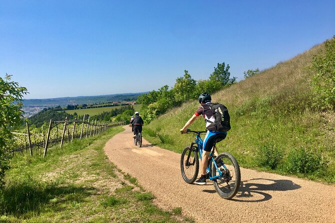 E-Bike Tour with Wine Tasting from Salò - Key Points