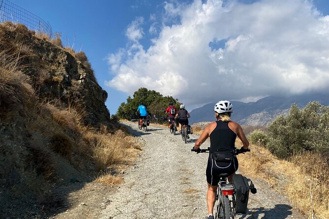 E-Bike Tour With Wine Tasting in Dafnes, Heraklion - Meeting and Logistics