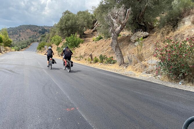 E-Bike Tour With Wine Tasting in Dafnes, Heraklion - Return to Heraklion