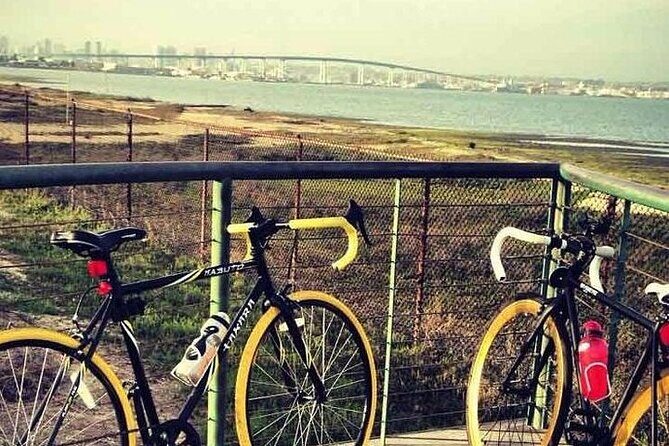 E-Bike Tours on Coronado - What Past Participants Say