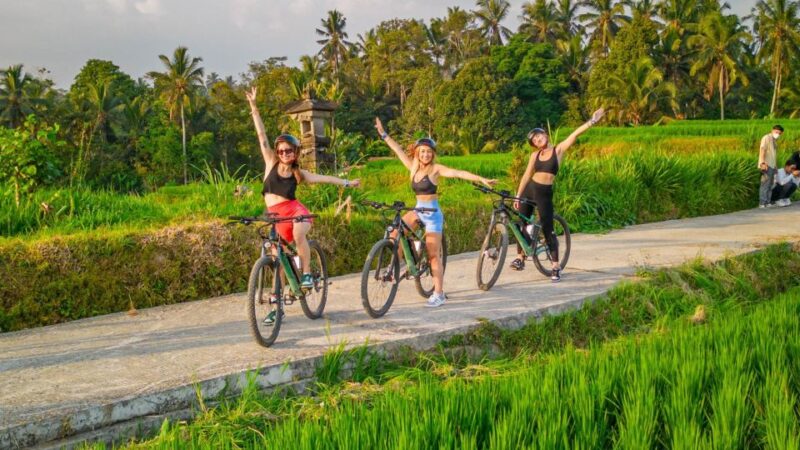 E-Bike: Ubud Rice Terraces & Traditional Villages Cycling - Key Points