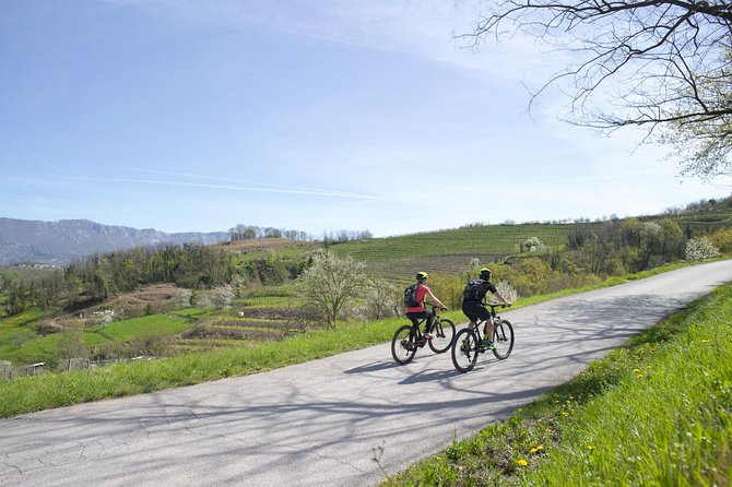 E-bike Vipava River Tour - Physical Requirements and Accessibility