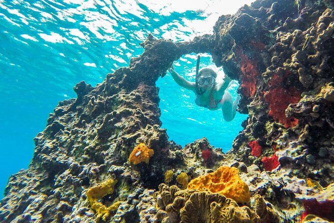 E-bike West Coast Snorkeling Tour - Introduction: What’s the Tour About?