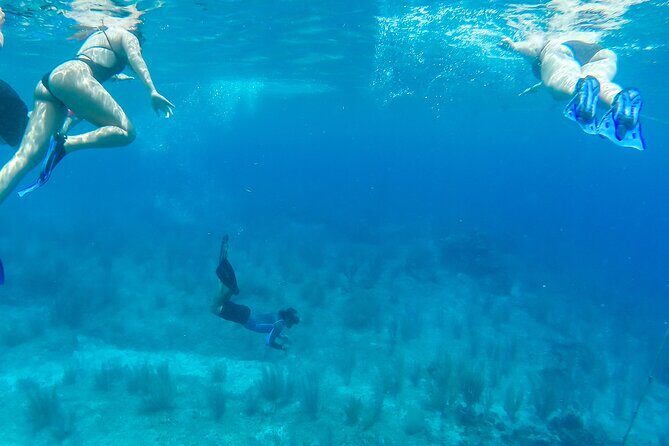 E-bike West Coast Snorkeling Tour - Snorkeling and Reef Conditions