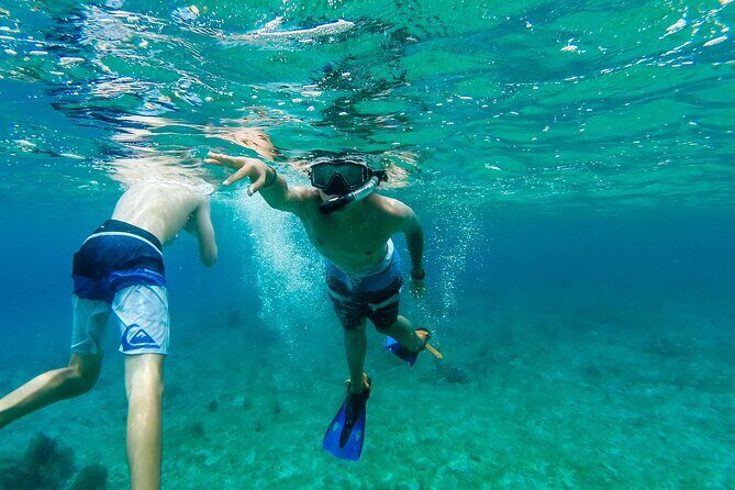 E-bike West Coast Snorkeling Tour - Pricing and Overall Value