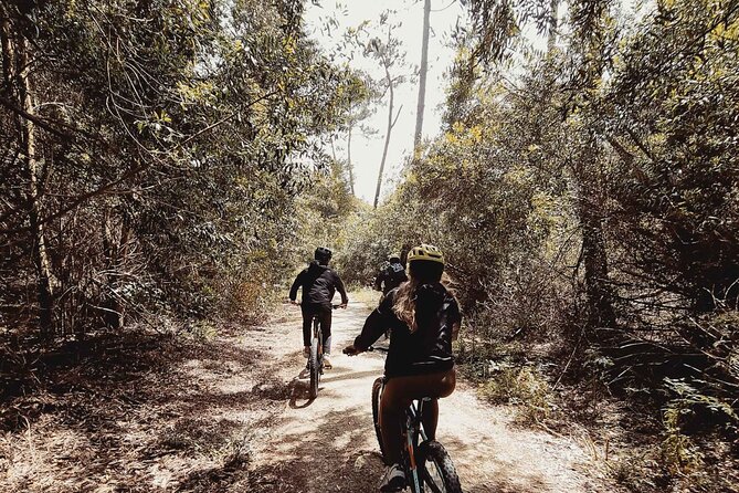 E-Bike Wild Experience with Transport from Porto and Braga - The Sum Up: Who Should Consider This Tour?