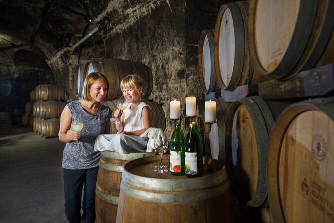 E-Bike Wine Culture Tour - Discovering Viennas Landmarks