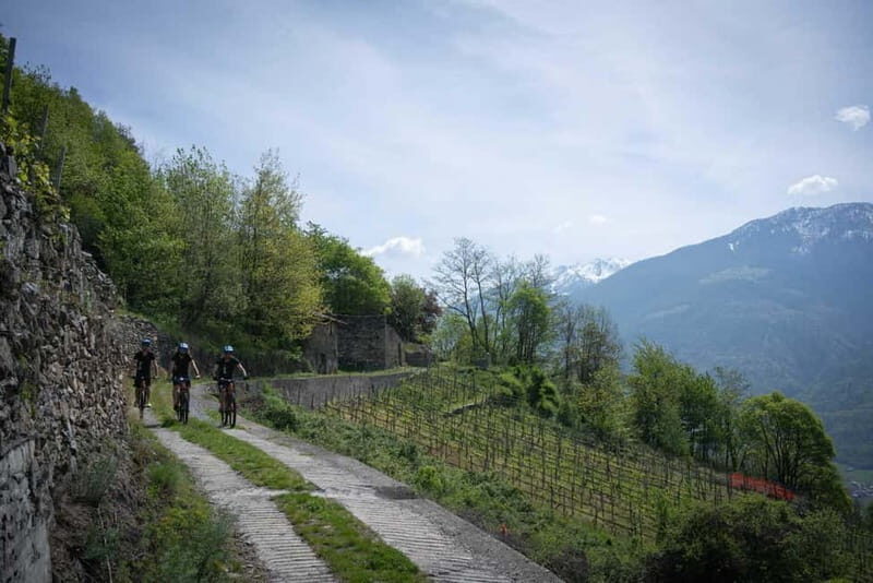 E-Bike Wine Tour with Indomita - Who Should Consider This Tour?