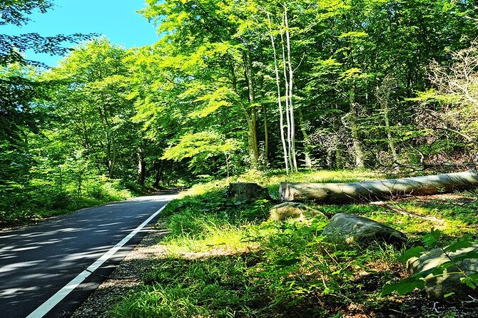 E Biking Adventure to Kronborg Castle - Key Points