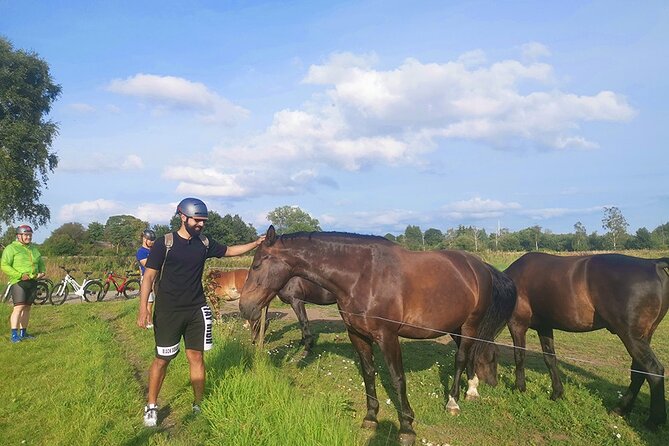 E-Biking Central Forgotten Giants S Adventure - Participant Feedback and Highlights