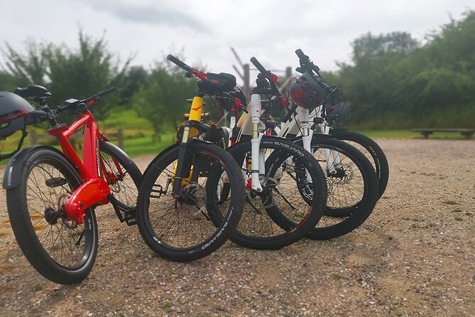 E-Biking Central Forgotten Giants S Adventure - The Sum Up