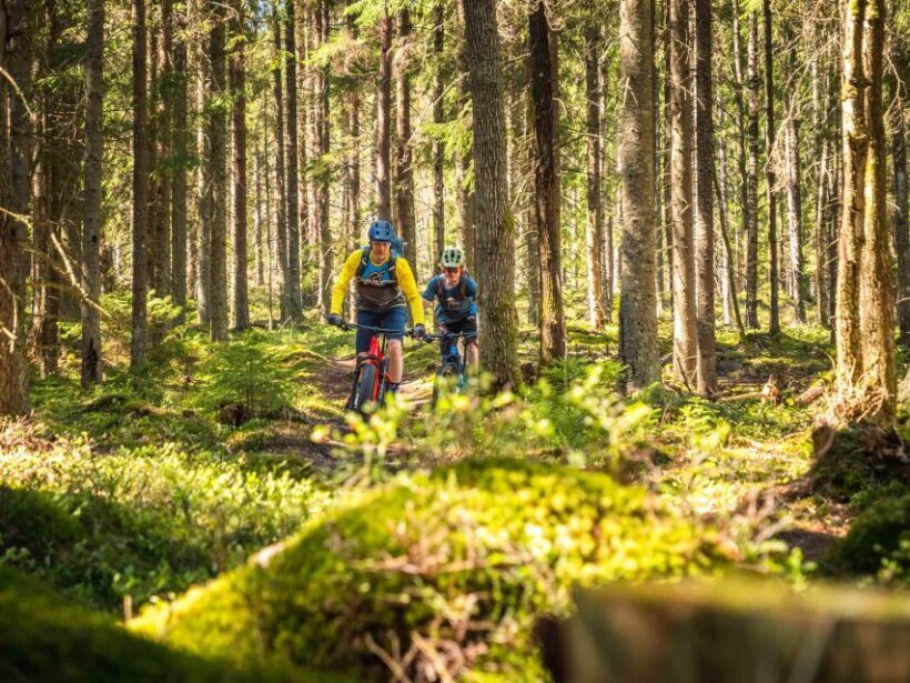E-FatBike experience in small groups - The Sum Up