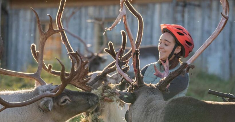 E-FATBIKE TRIP TO THE REINDEER FARM - An In-Depth Look at the E-Fatbike Reindeer Farm Tour