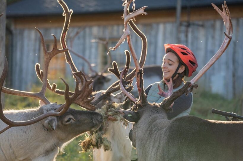 E-FATBIKE TRIP TO THE REINDEER FARM - The Sum Up: Who Should Consider This Experience?
