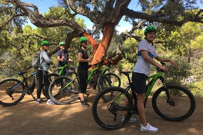 E-Mountain Bike Explorer Tour Departing From Marbella - Discover the Traditional Village of Istán