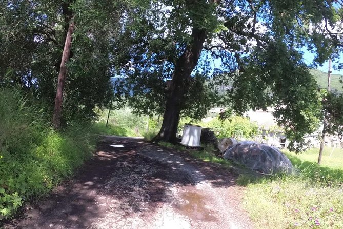 e-MTB Tour - Analipsis Area [42Km - 26Mi] - Key Points