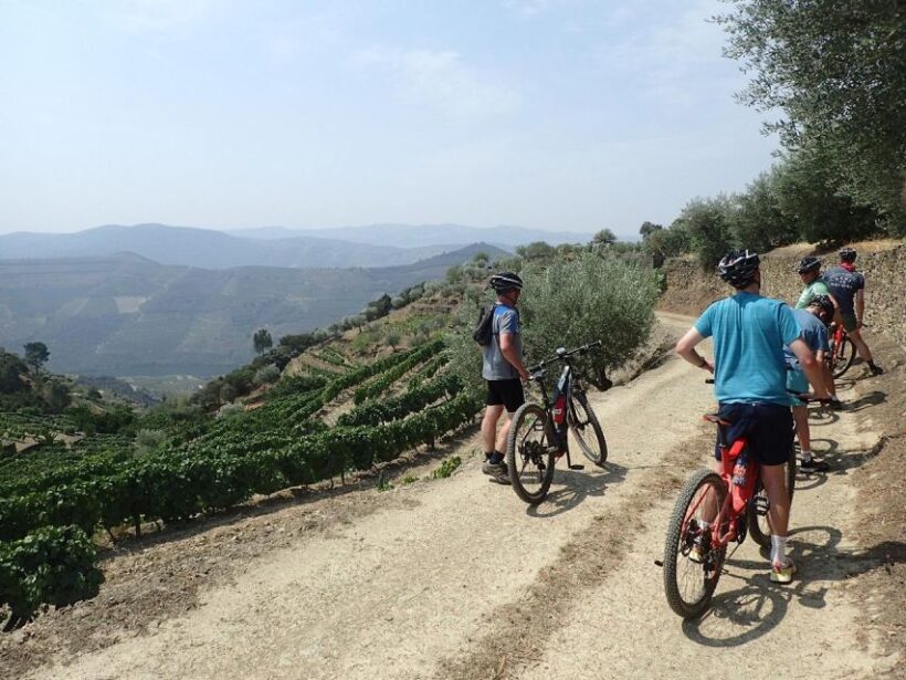 E-MTB - Vineyards Douro Tour - The Sum Up: Is It Worth Your Time?