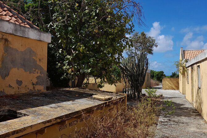 e-Scavenger hunt by car or scooter: 'Explore the Rincon Valley' - A Detailed Look at the Experience