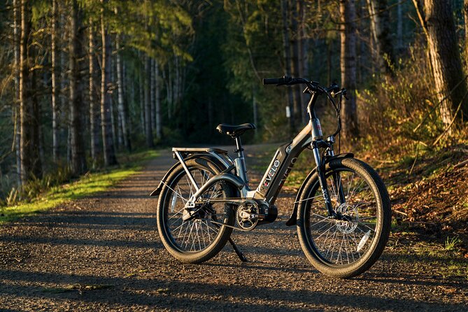 E-Scooter - E-Bike - Quadracycle - Bikes - Kick Scooter - FAQ