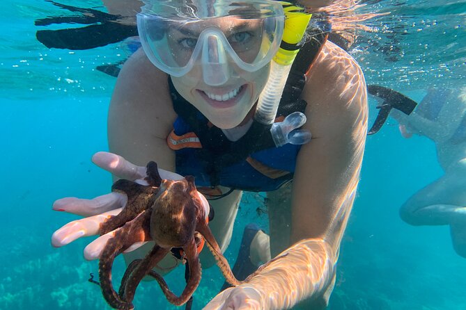 E-Scooter Snorkel With Photo and Video At Turtle Town - Detailed Tour Itinerary