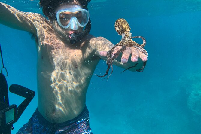 E-Scooter Snorkel With Photo and Video At Turtle Town - Logistical Information