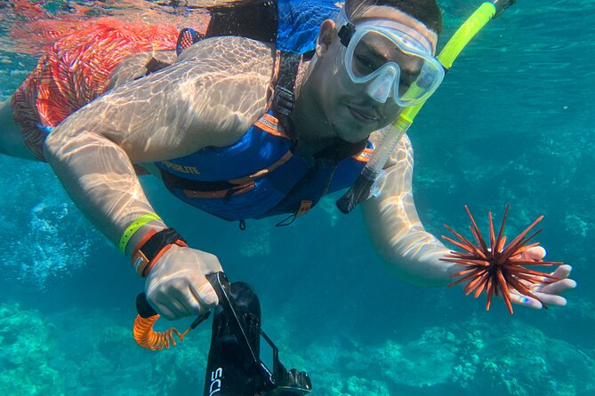 E-Scooter Snorkel With Photo and Video At Turtle Town - Customer Feedback and Ratings