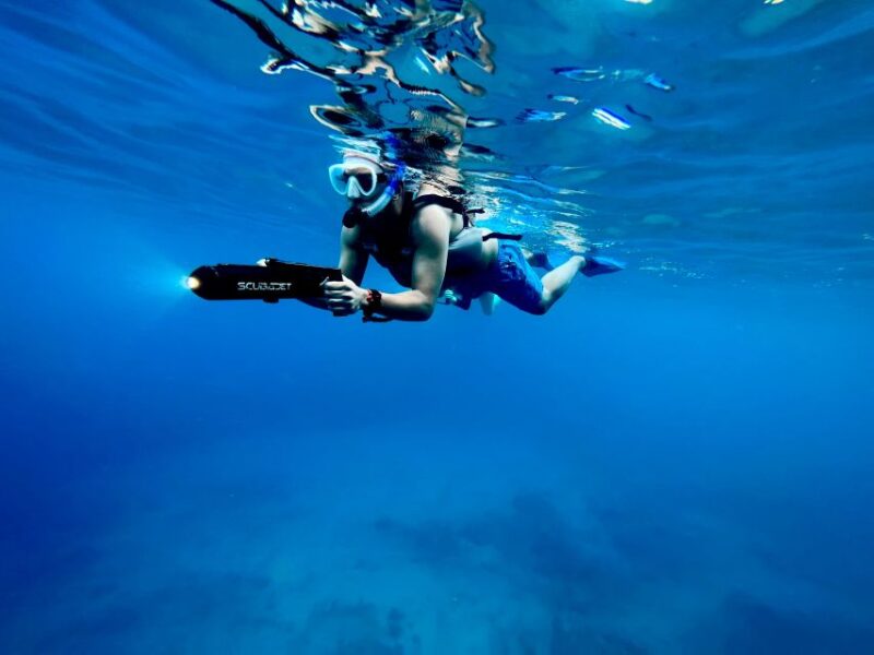 E-Scooter Tour At Turtle Town With Optional Photo and Video - Analyzing the Value