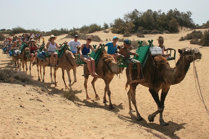 E-Scooter Tour Optional Camel Ride : Maspalomas Dunes & Meloneras - Combining Nature and Culture on the E-Scooter Tour