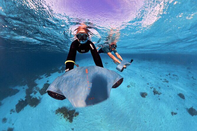 E-Snorkeling tour in Bonaire with easy Sea Scooters - What to Expect from Your Bonaire E-Snorkeling Adventure