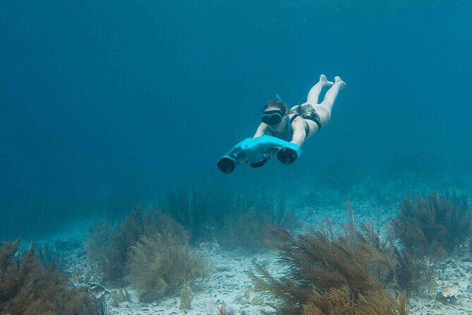 E-Snorkeling tour in Bonaire with easy Sea Scooters - The Sum Up