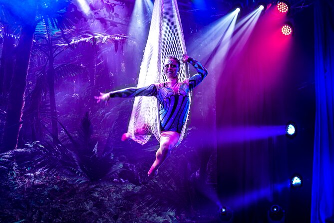 E-Tickets Emotions Dinner Theater Live Show Admission - Dinner and Dining Experiences