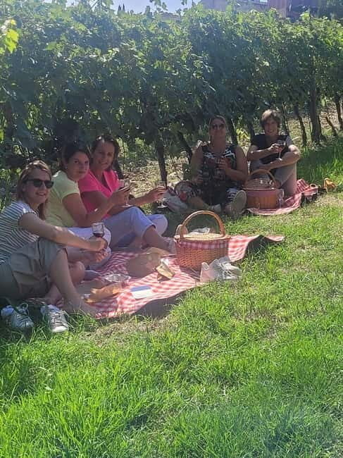 E-Vespa Tour in the Chianti and Pic Nic Lunch - An In-Depth Look at the Tuscany Vespa Experience