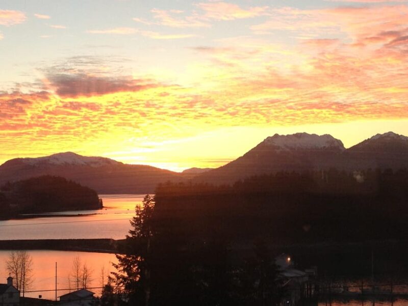 Ear Mountain Charters tours: whale watching and fishing - Who Will Love This Experience?