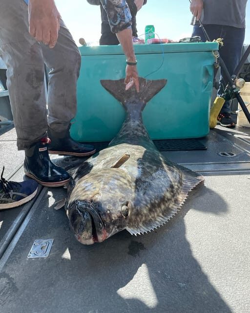 Ear Mountain Charters tours: whale watching or fishing - Key Points